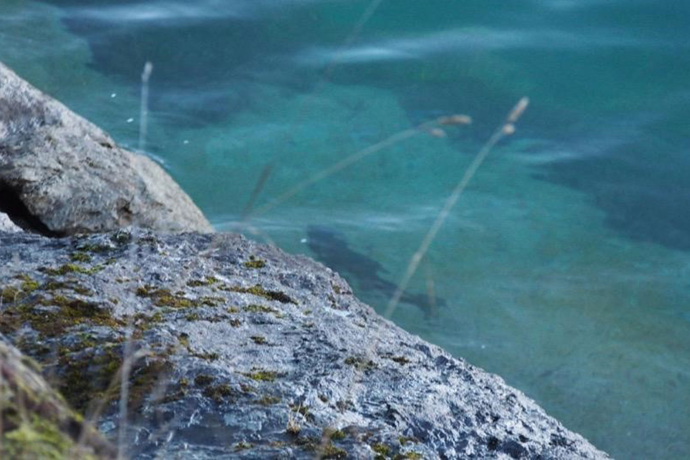 How To Fly Fish Lake Wanaka - NZ Fishing World