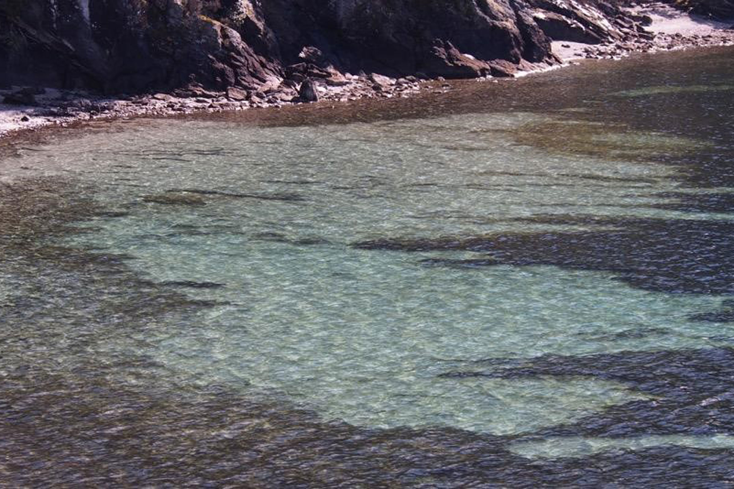 How To Fly Fish Lake Wanaka - NZ Fishing World