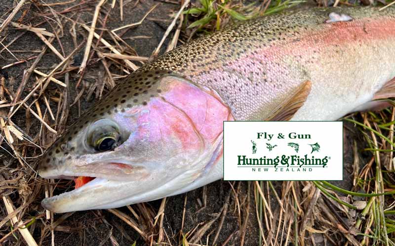 Fishing Report for Central North Island: Freshwater