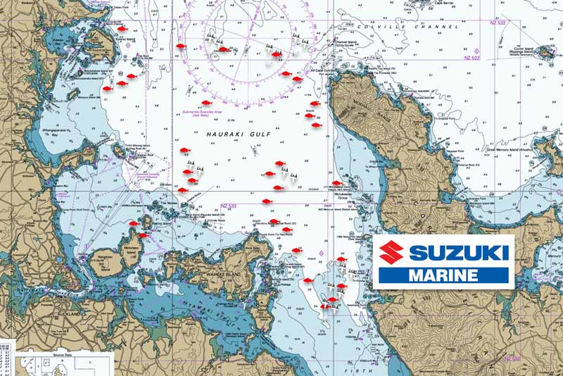 Fishing Report for Hauraki Gulf 24 Feb