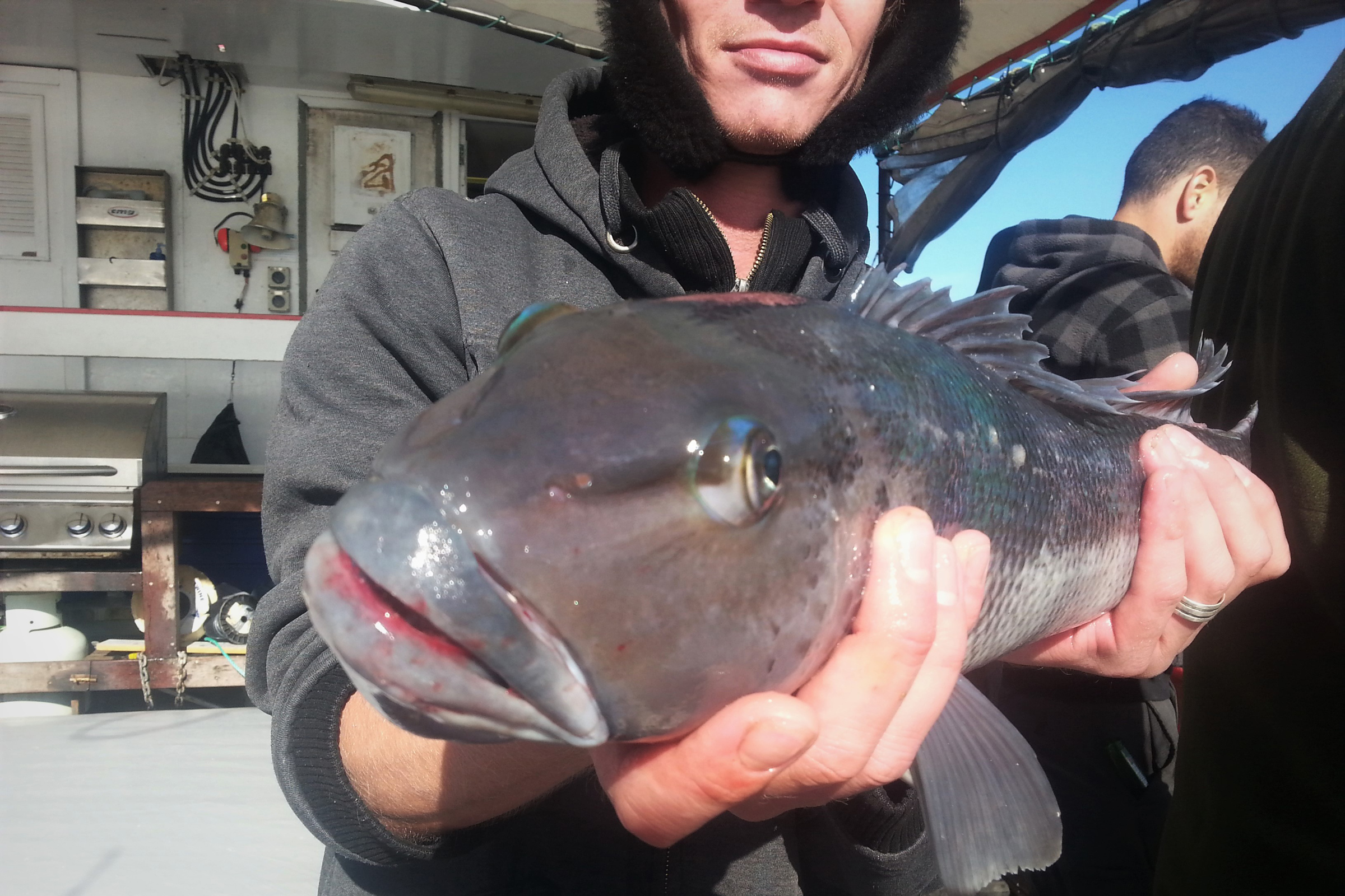Deepwater fishing for hapuku, bass and bluenose. Pete Lamb Special - NZ ...