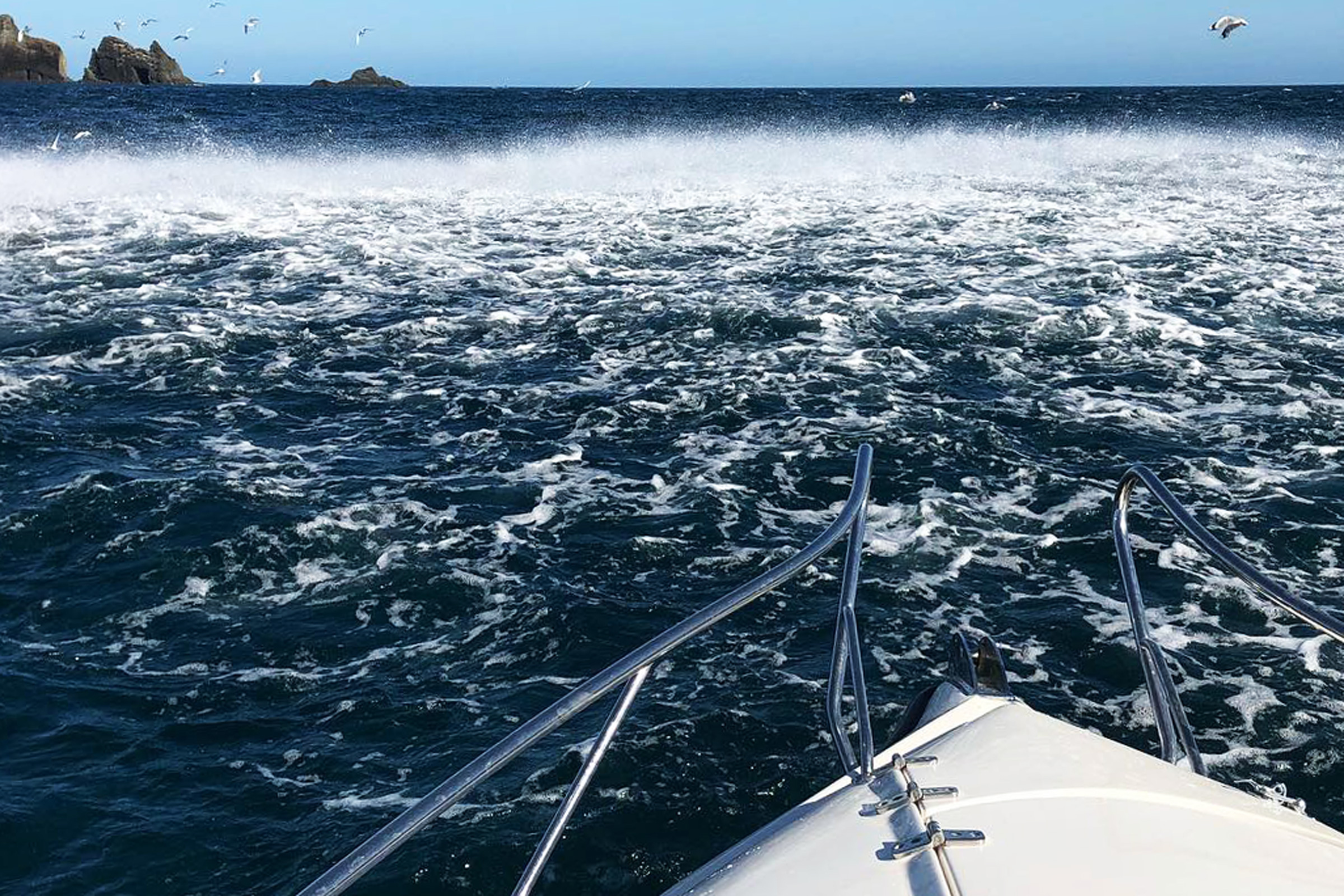 How to smash your PB kingfish on stick baits - NZ Fishing World