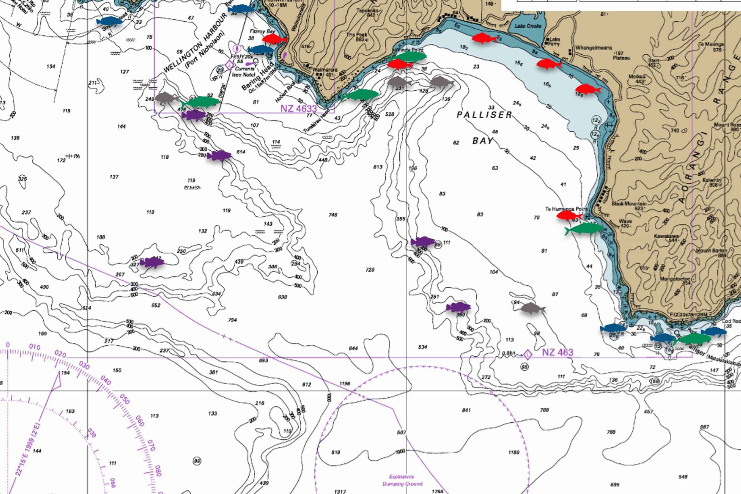 Fishing Report for Wellington and Kapiti Coast July 1