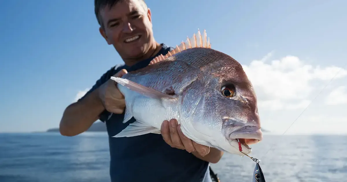 The 2019 ultimate How-to guide - NZ Fishing World