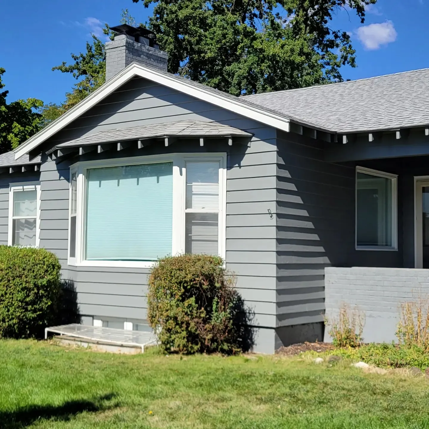 Mint Painting - Professional Painting & Carpentry