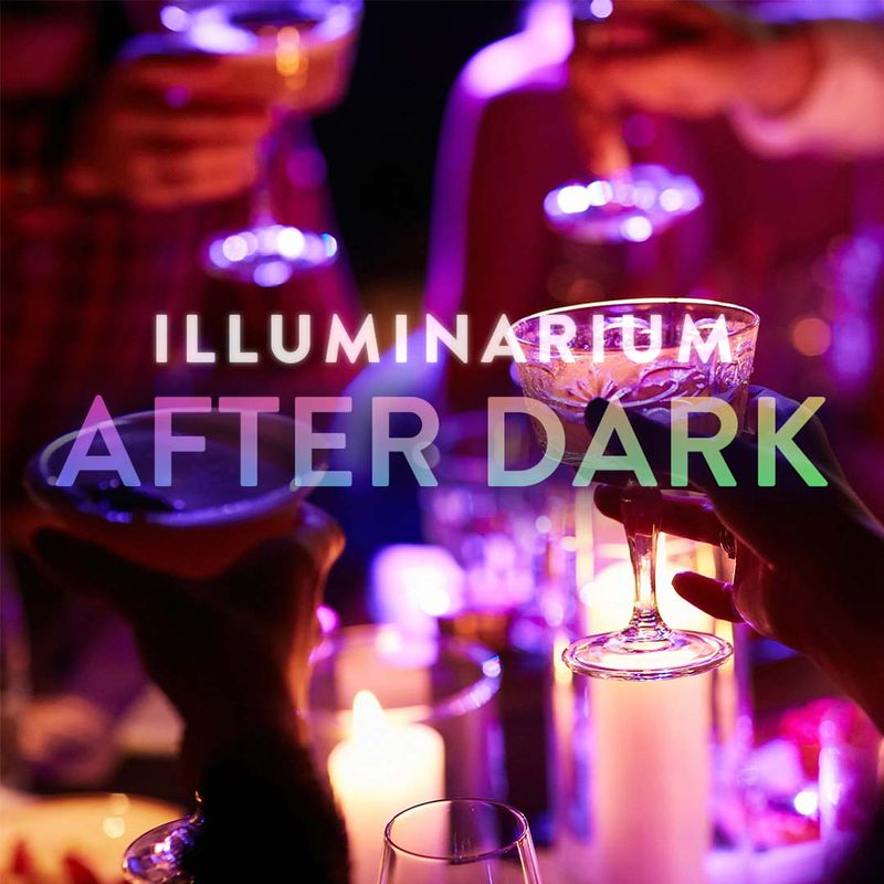Illuminarium | Atlanta