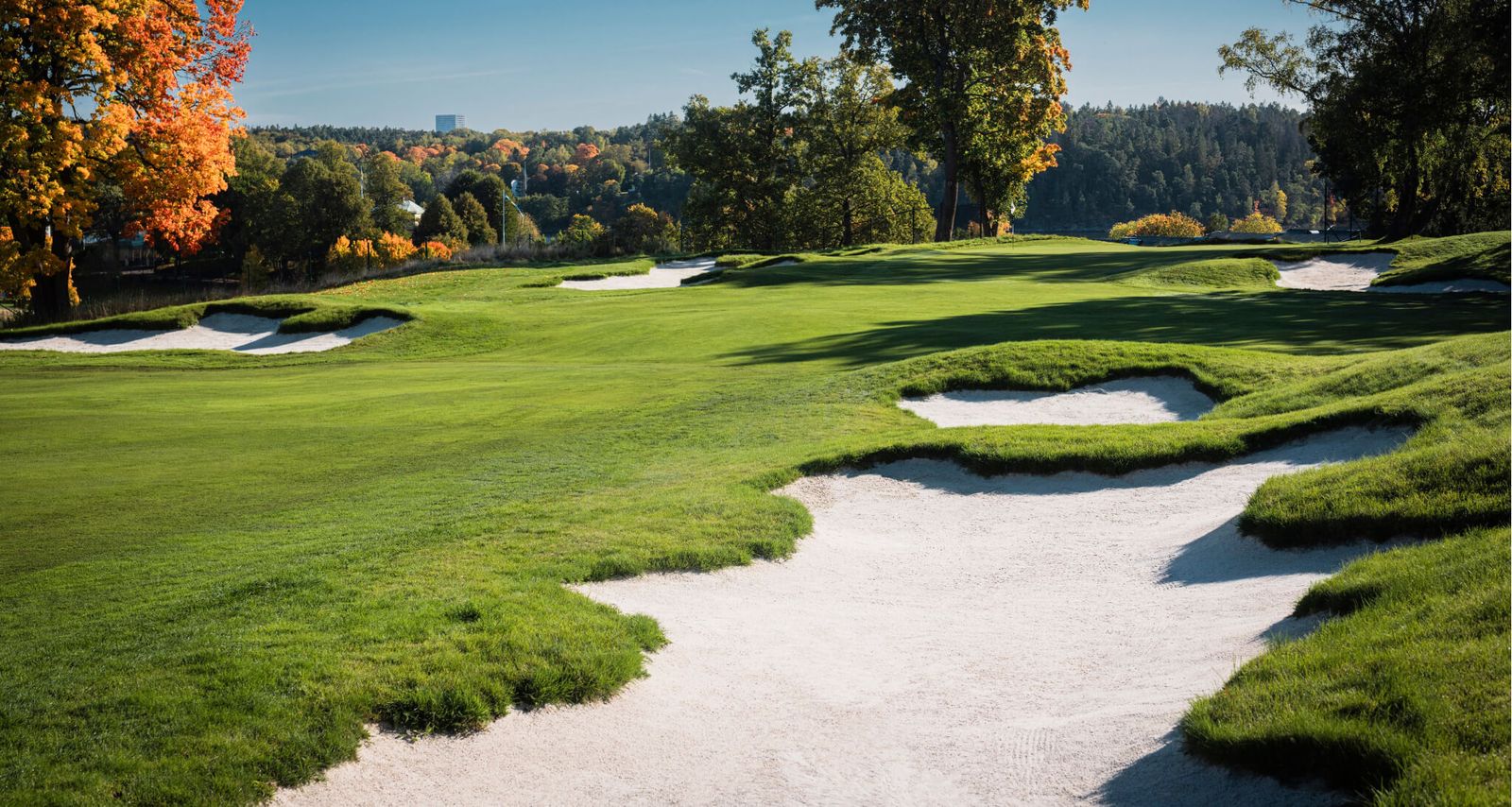 CapillaryFlow | Bunker Edge