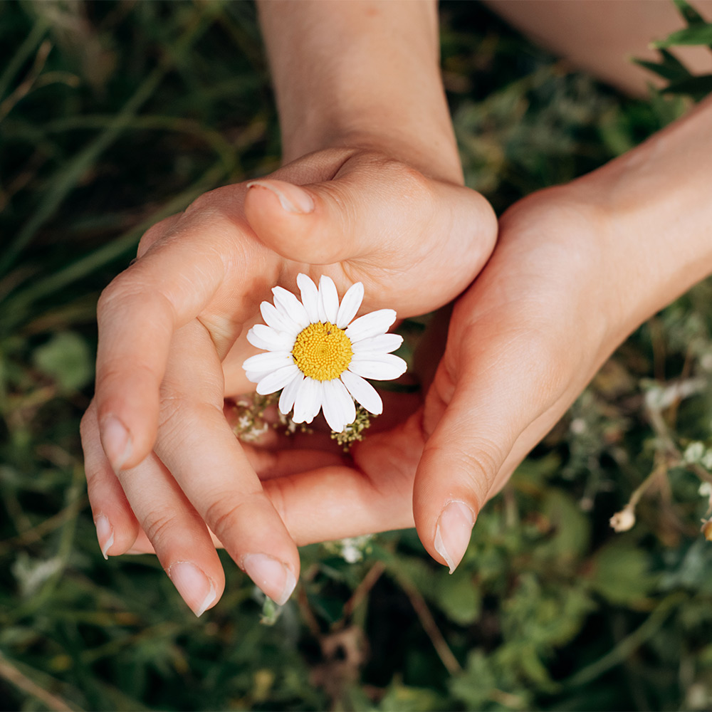 Current Research Projects - HARC, Health and Research Collaborative