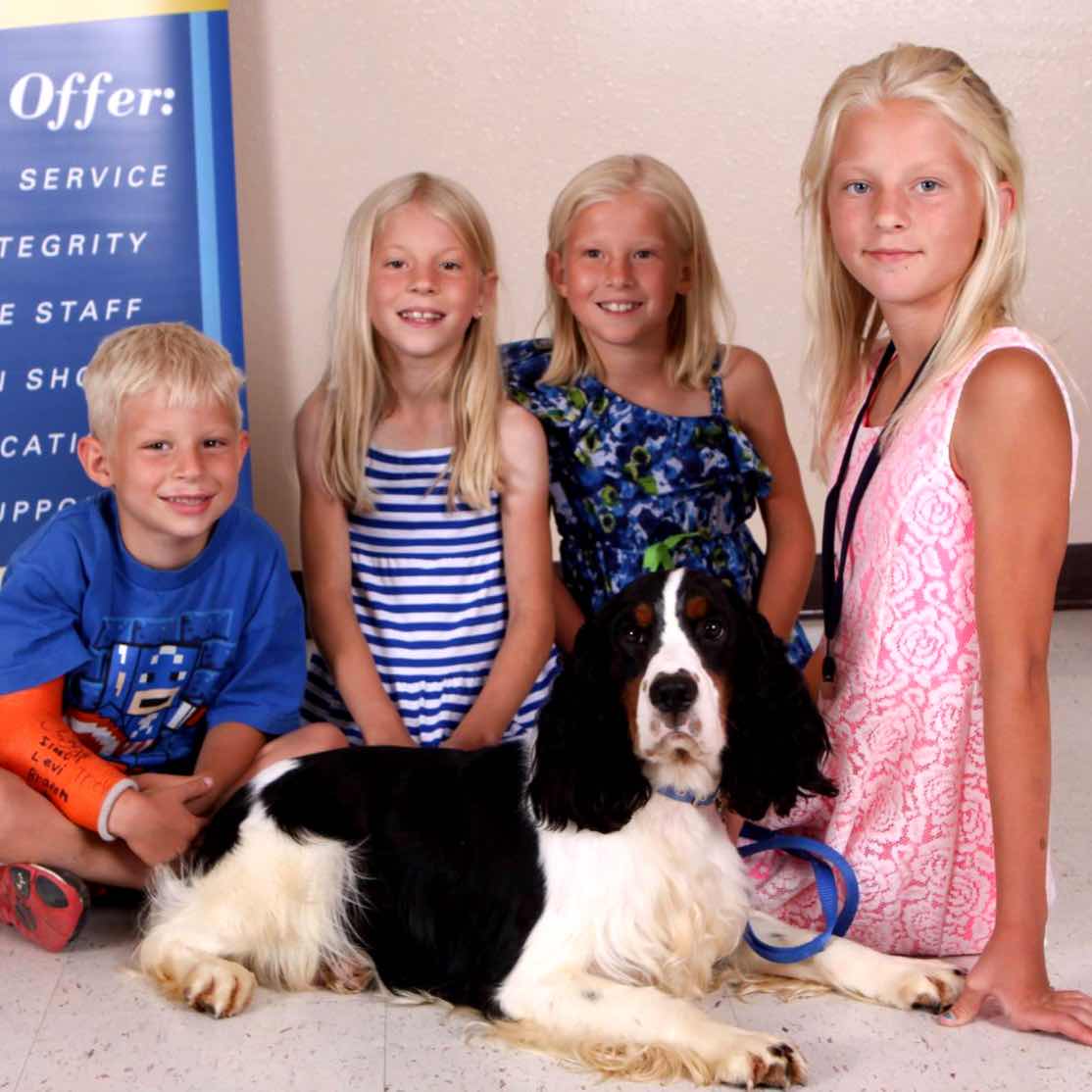 About - Countryside Kennels