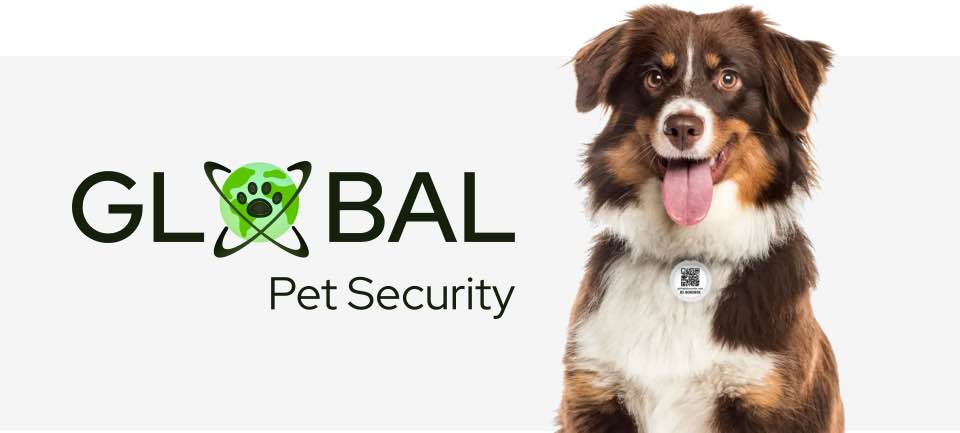 Puppy Care - Countryside Kennels