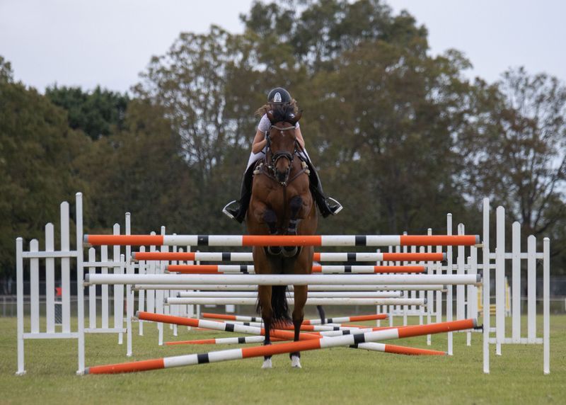 Tips from Top Show Judge Mardi Mangan - Part 1 - News & Stories | Off ...