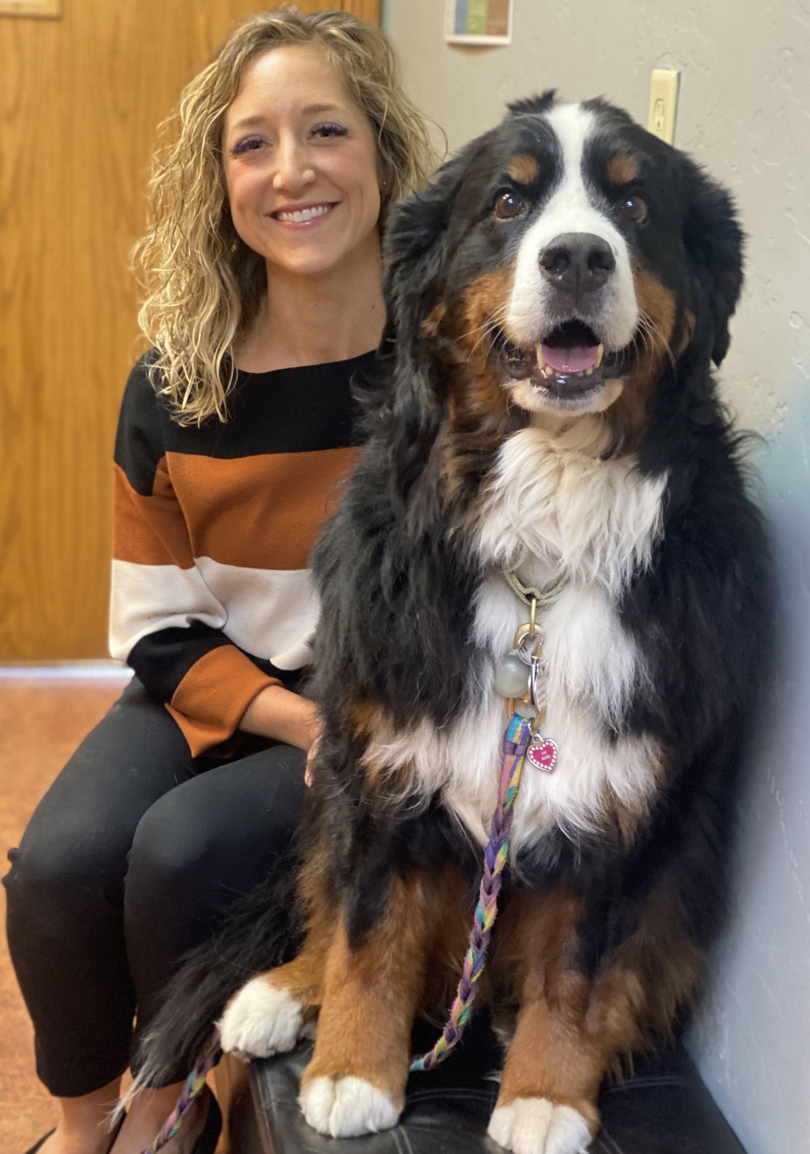 High-Quality Vet Hospital in Colorado | Passion Fur Paws
