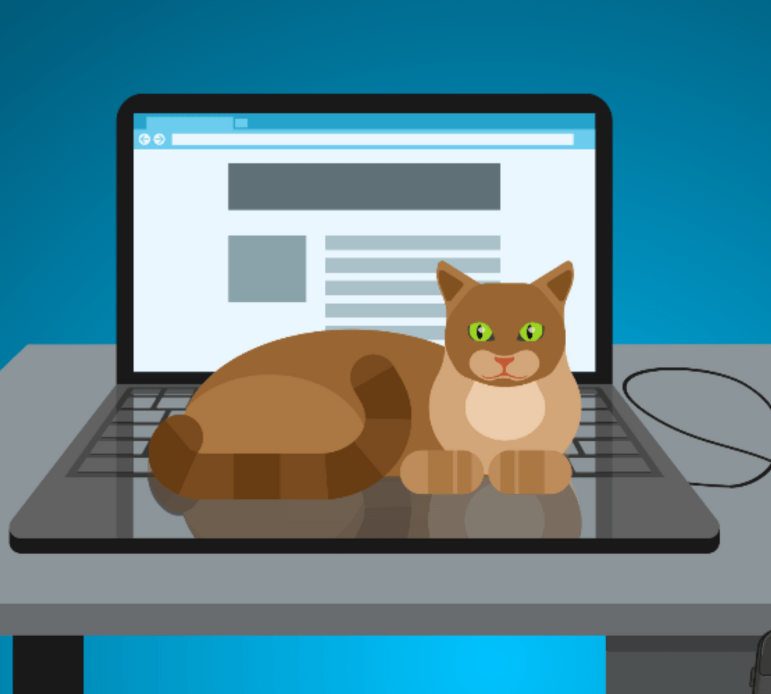 How to Avoid Pets Damaging Your Computers | Borked PC