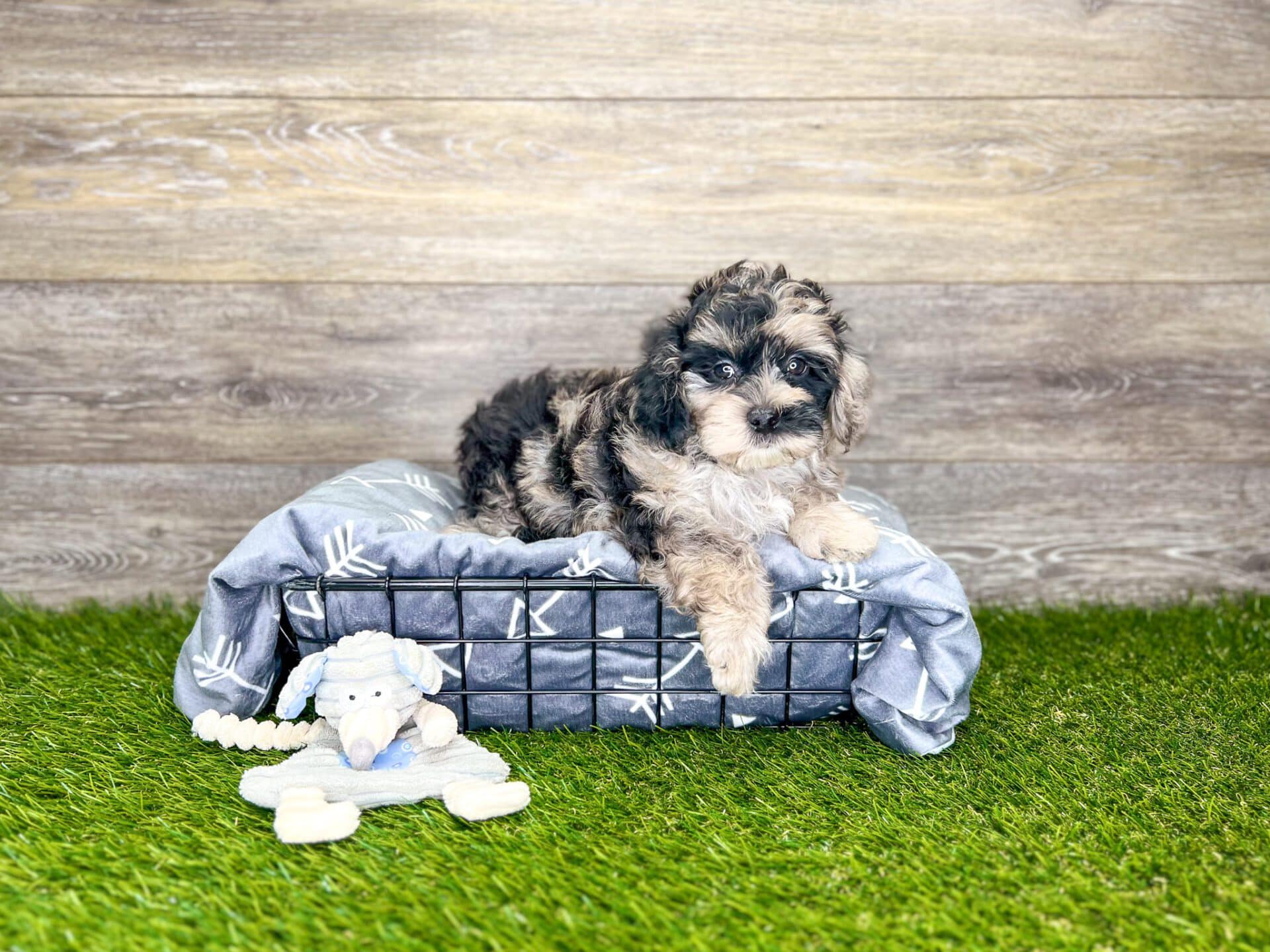 About | Refine Dental