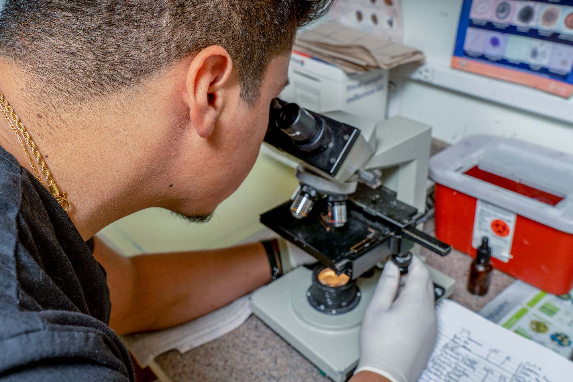 High-Quality Vet Hospital in Alpharetta, GA | Alpharetta Animal Hospital