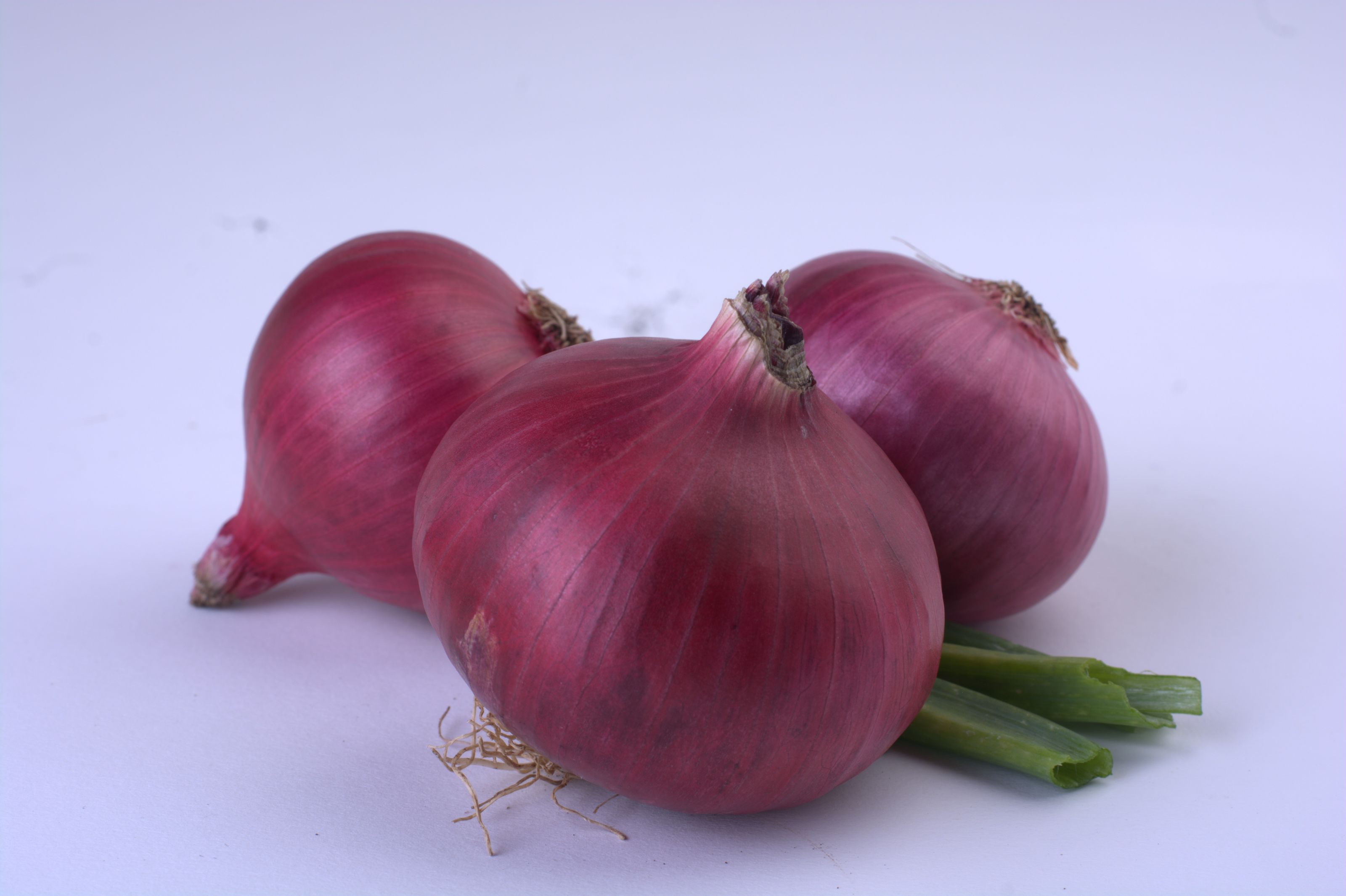 Home - Rahee Natural Seeds
