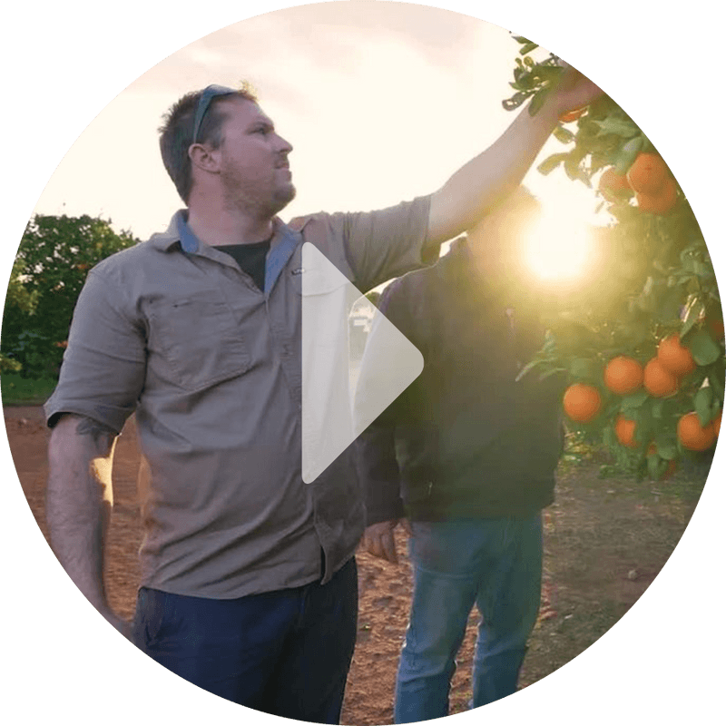 Original Juice Company