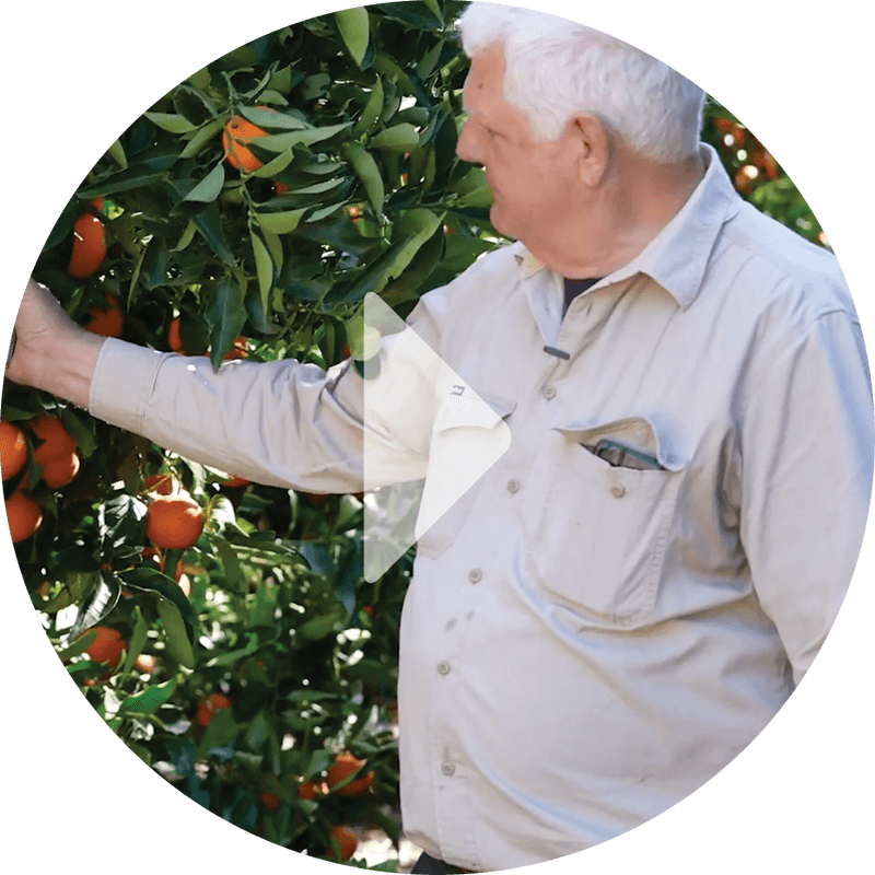 Original Juice Company