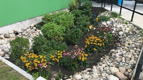 ACF West Products Biofiltration – Storm Garden