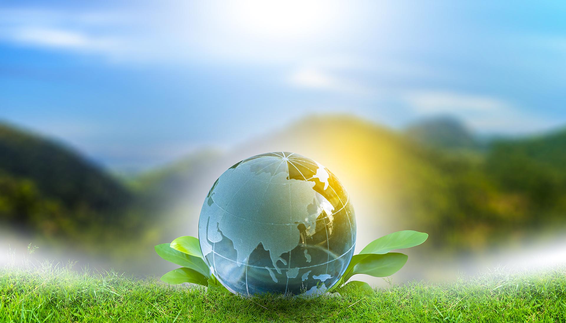 The Race to Reduce Carbon Emissions by 2030: Nature vs. Technology