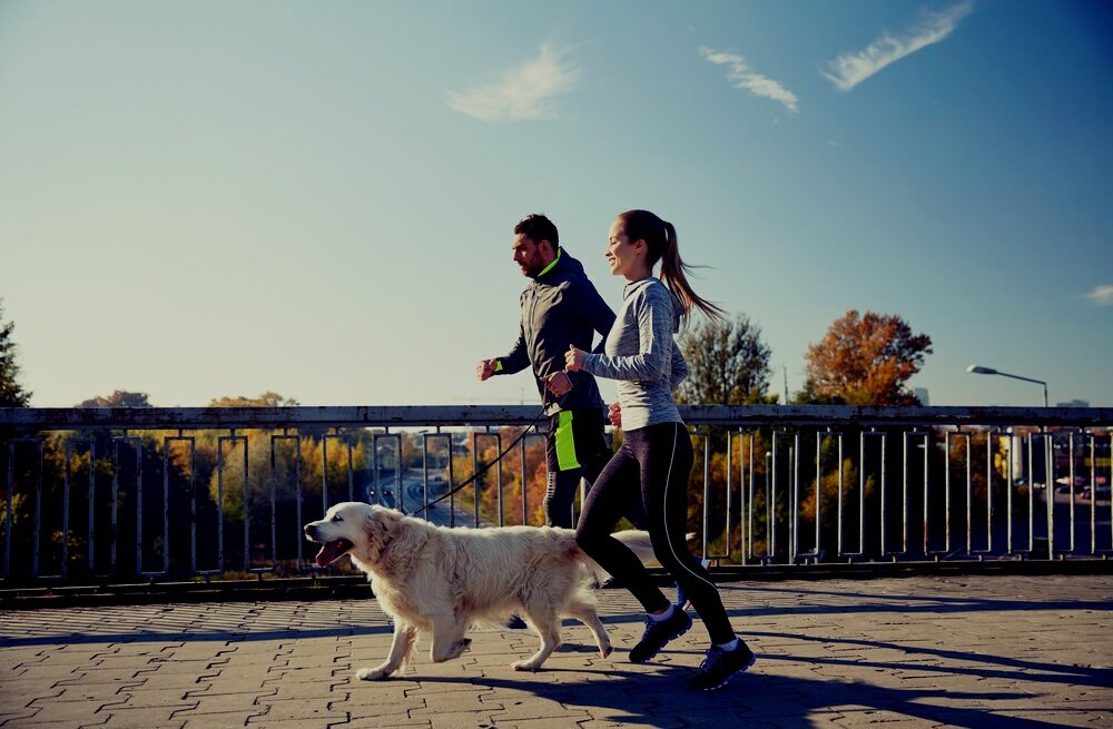 None to Run | 5 Mental Strategies to Make Running Feel Easier