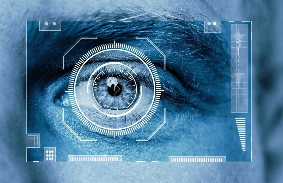 Retinal Recognition: the Ultimate Biometric