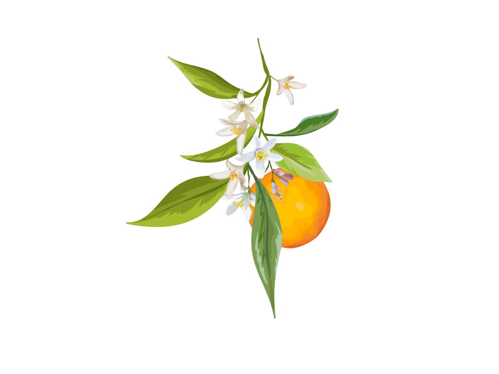 Straight Up Collective - Services