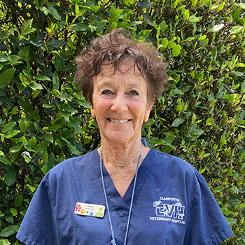 Meet our Team - Tamworth Veterinary Hospital | Experienced Care