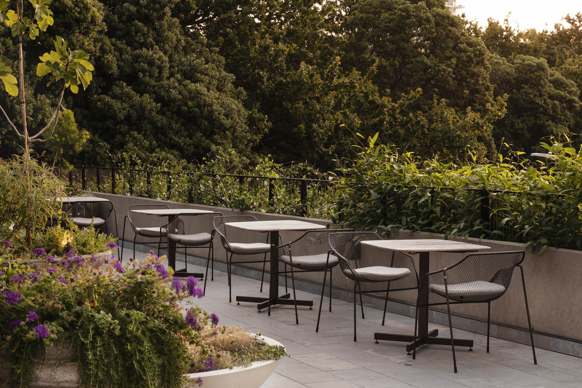 Northern Club Extension | Hospitality & Retail | Cheshire