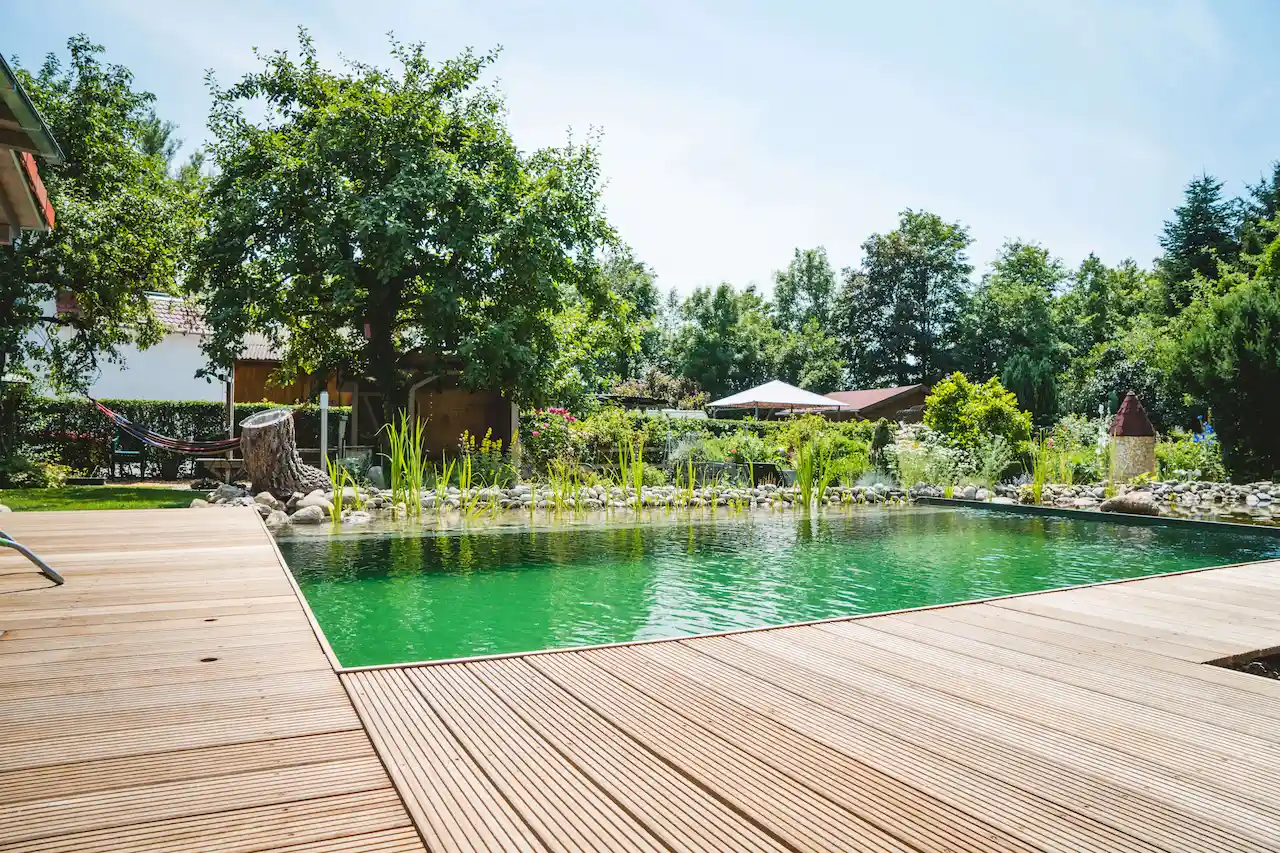 Schwimmteiche: Nutzen Sie unsere Expertise für Ihr Projekt