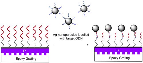 74. Organic Semiconductor Laser Platform for the Detection of DNA by ...