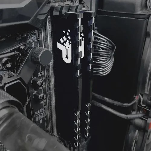 SIGNATURE LINE PREMIUM DDR4 | Patriot Memory