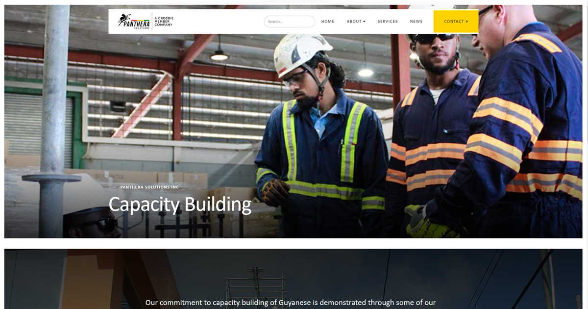 Capacity Building - Panthera Solutions Inc