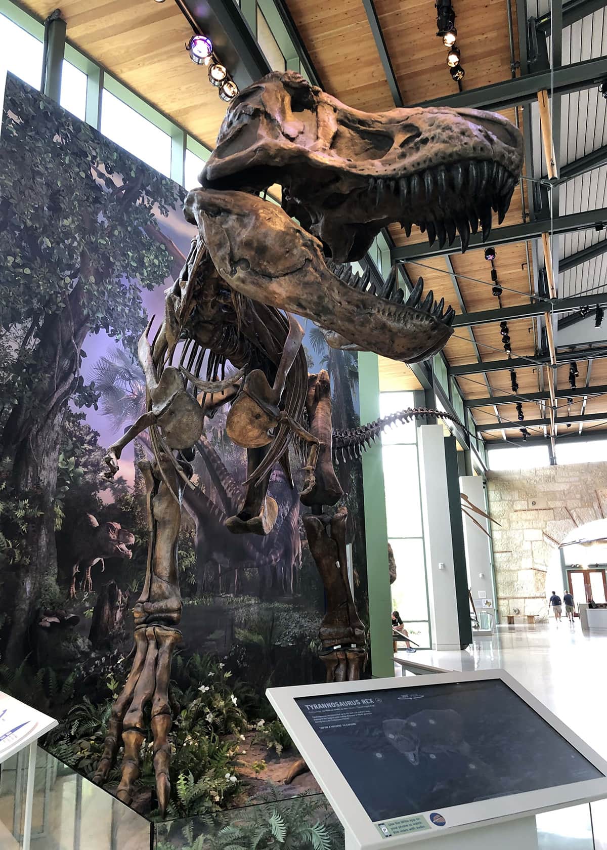Texas Museums 360