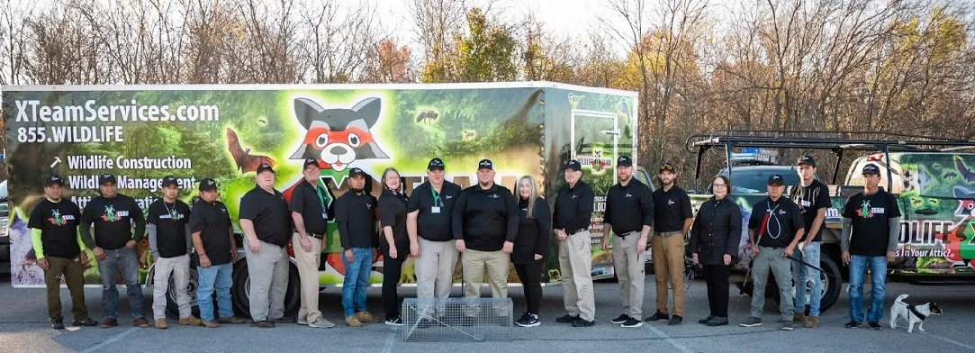 Wildlife Removal in Dallas and Fort Worth, TX | Wildlife X Team