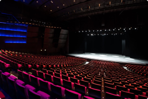 IUNS-ICN 2025 - A FIRST-CLASS VENUE