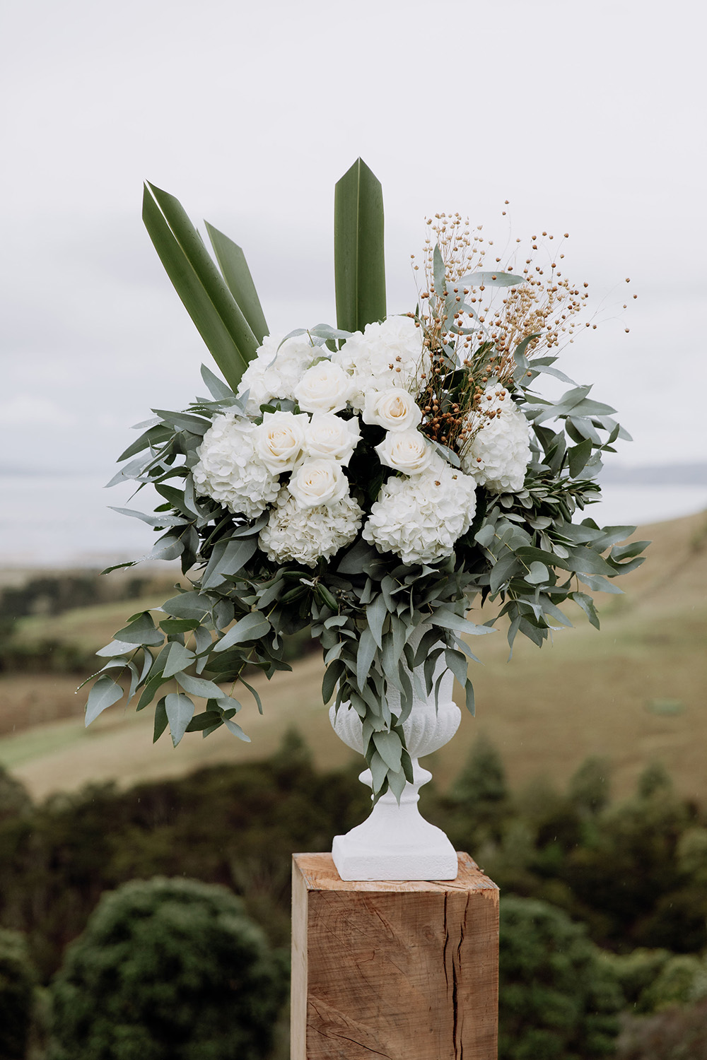 Juliette & Matty | Galleries | Sapphire