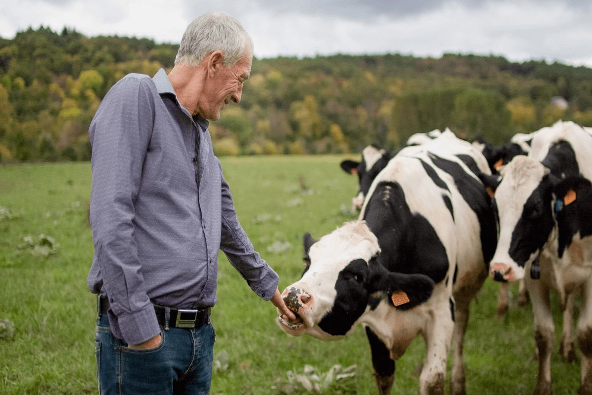 Responsible Renewable Energy Development | Freestone Renewables