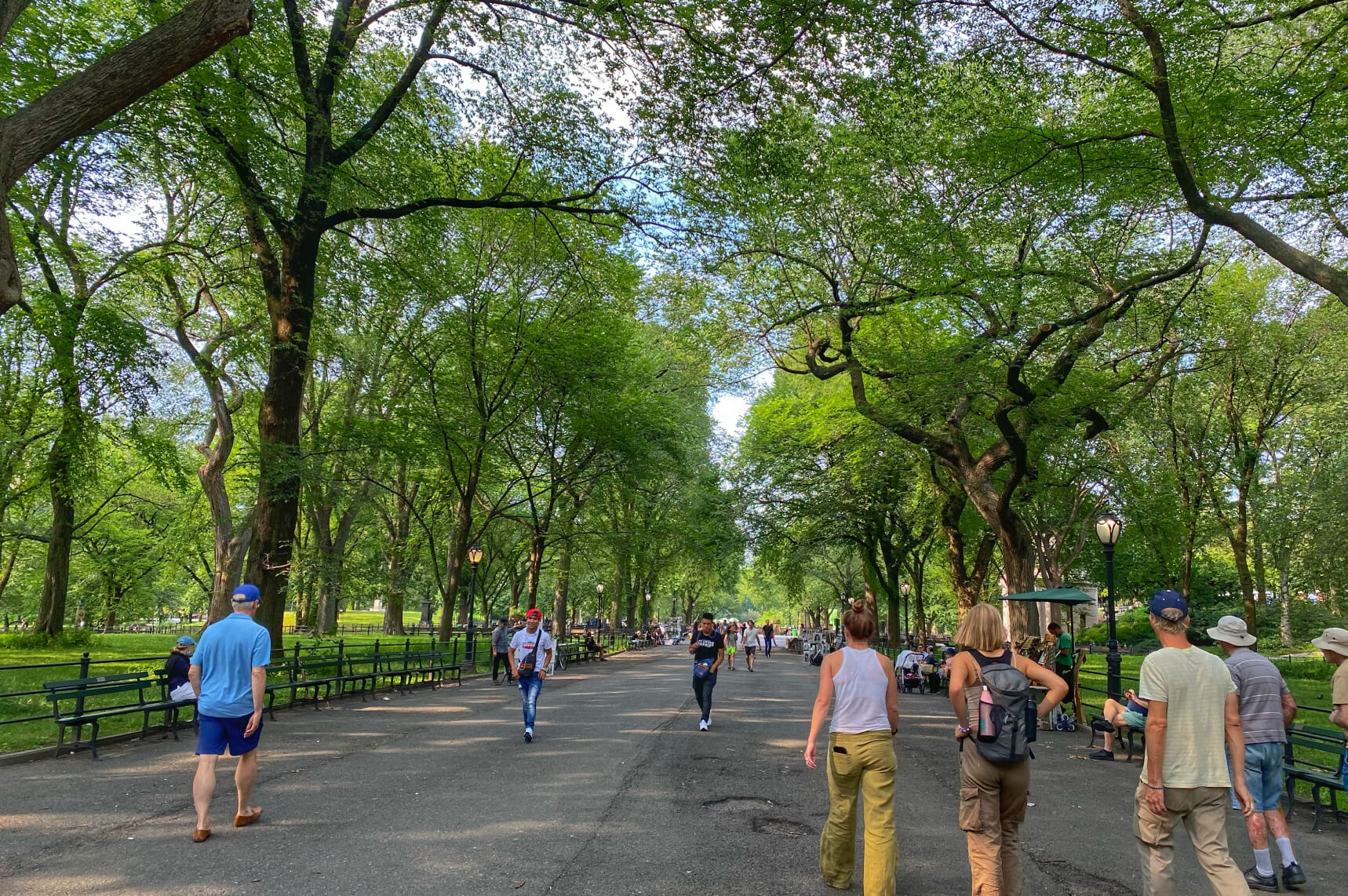 Frederick Law Olmsted – The OG Landscape Architect | Trueform