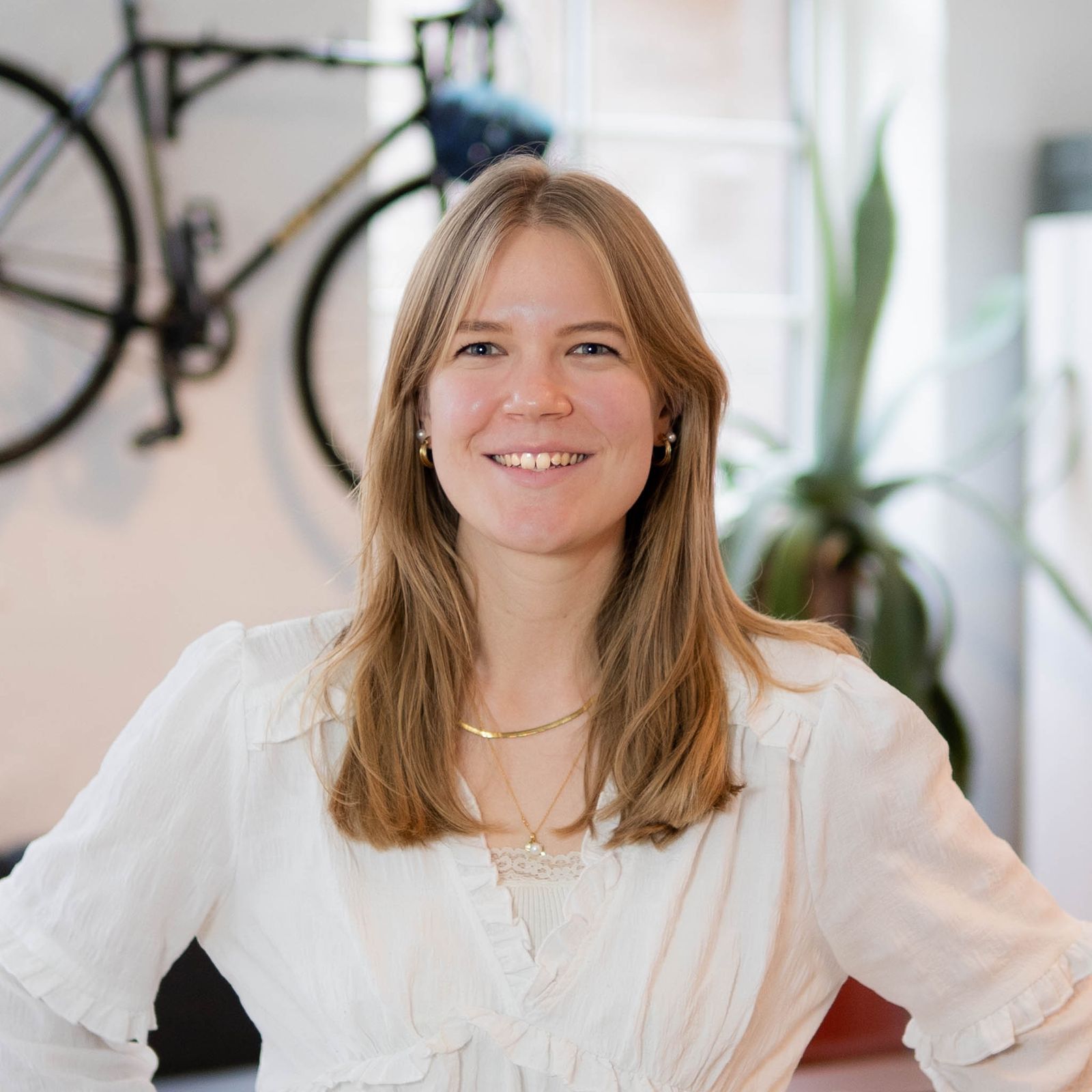 About us - IS IT A BIRD