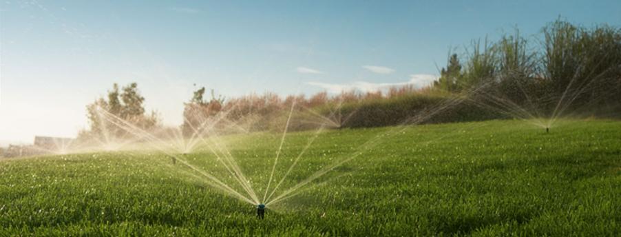 How to Program Your Hunter Sprinkler System | Always Green Canada