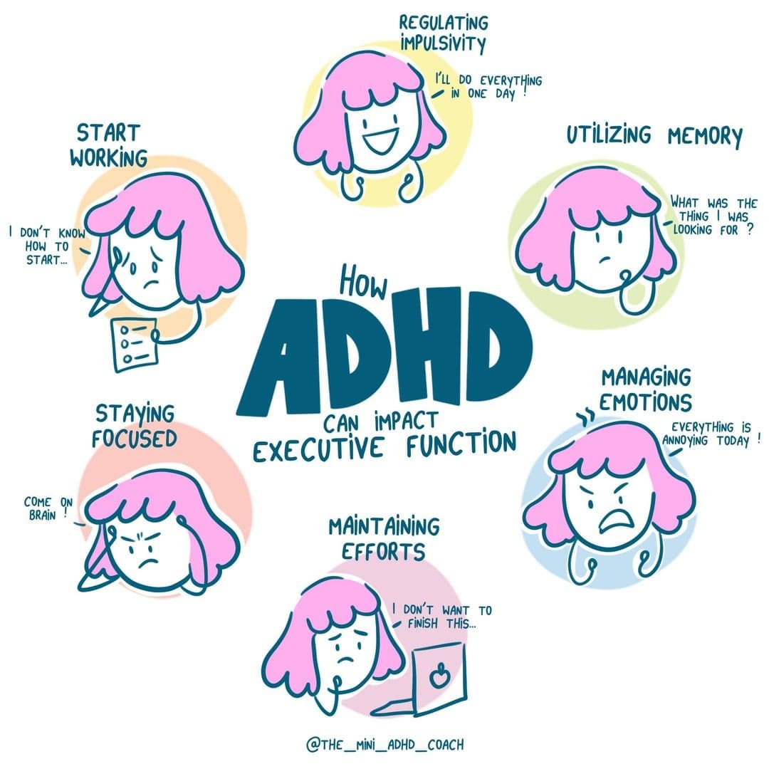 How ADHD Affects Your Brain s Executive Functions