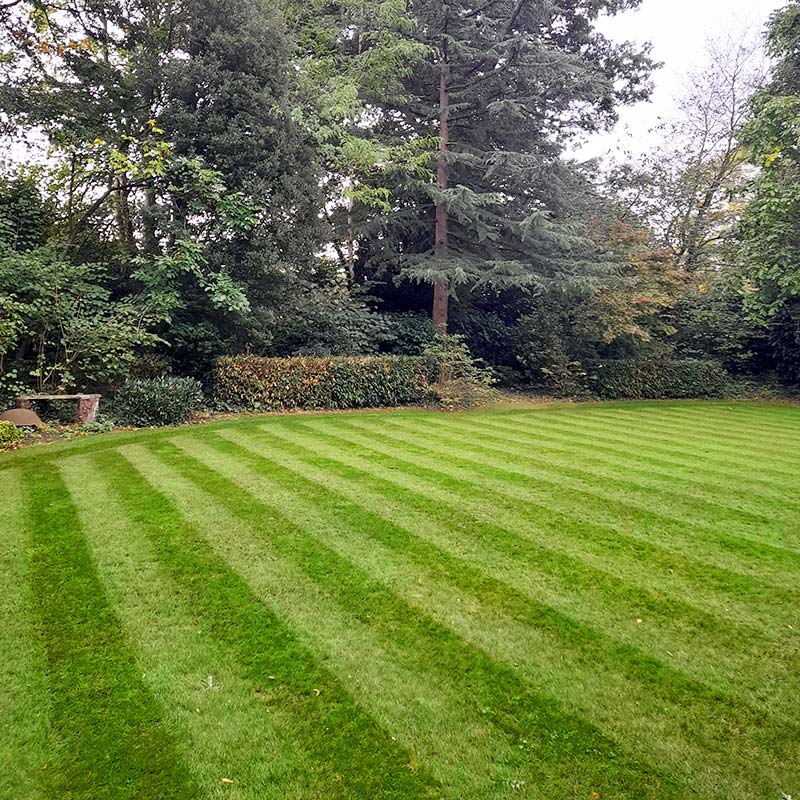 Rugby Grass Cutting - Professional lawn cutting service