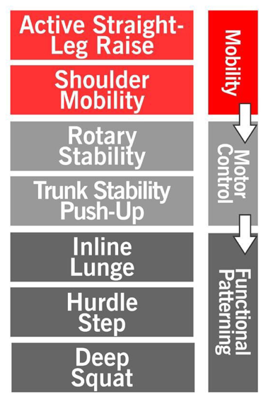 Functional Movement Screen (FMS)