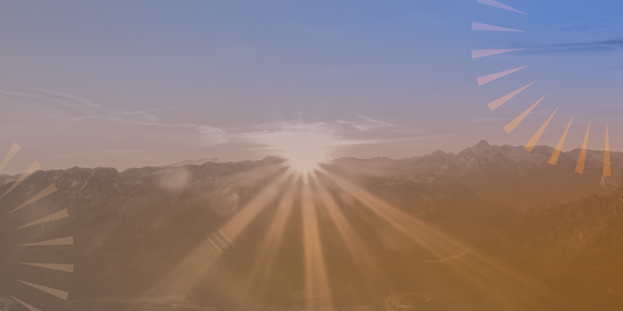 The Transparency Foundation Reports