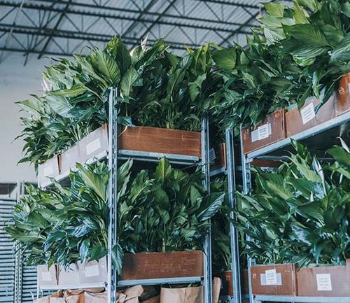Container Centralen | Making Your Products Move