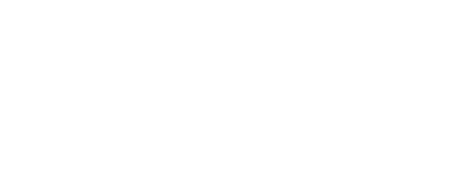 Vestas | Bronzeback Wind