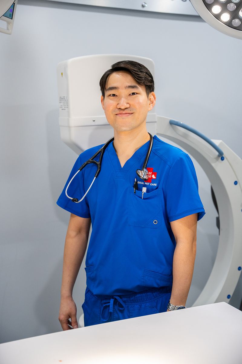 Meet Our Doctor | Dr. Scott Lee