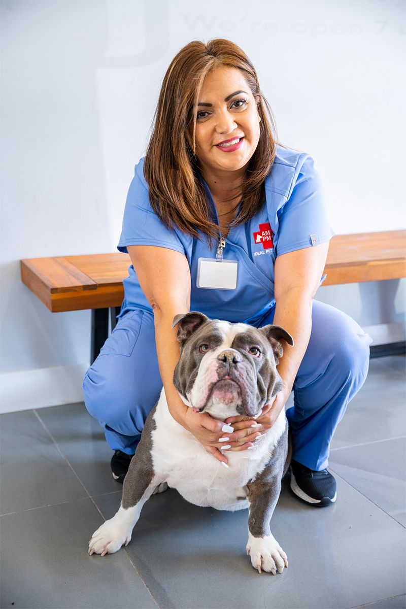 Meet Our Doctor | Dr. Scott Lee