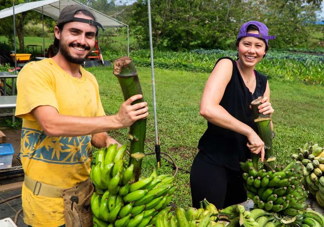 Learn to Grow with HIP Ag: Free Agricultural Workshops in Hawai'i